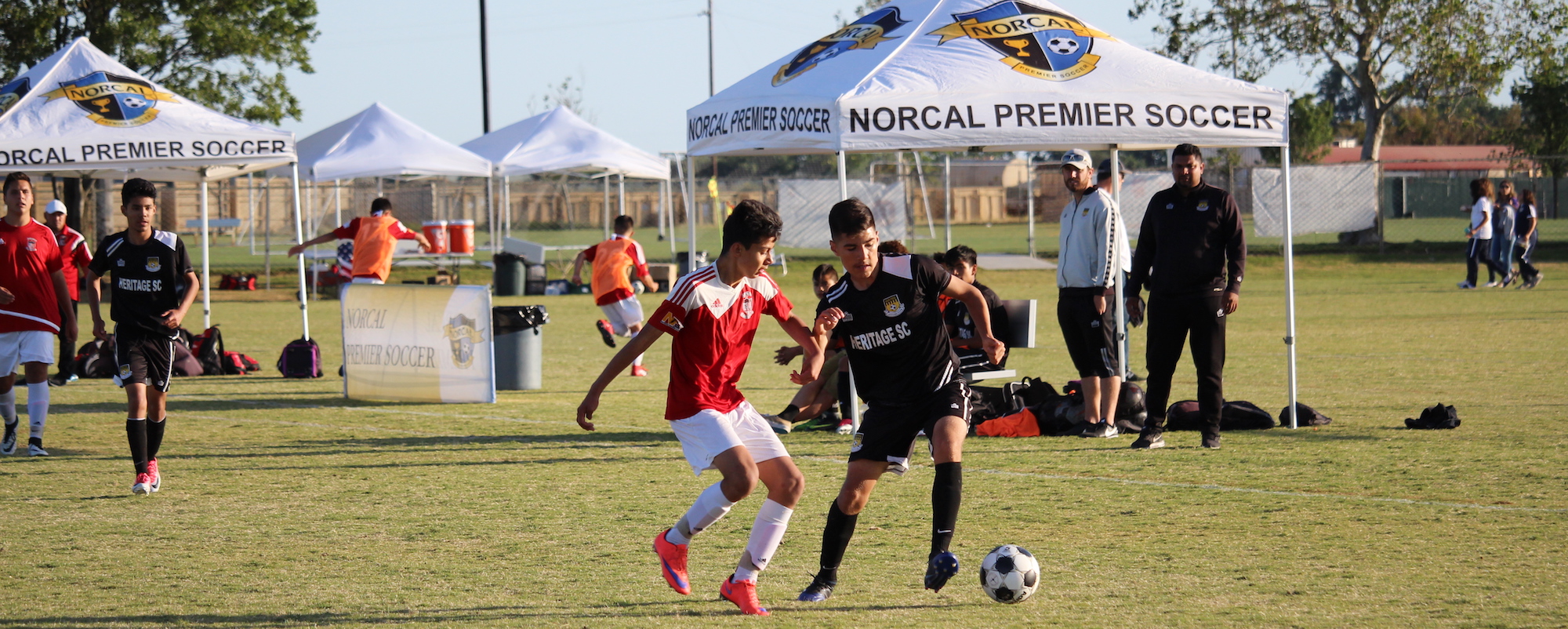 U14-U19 NorCal State Cup Semifinals Recap | NorCal Premier