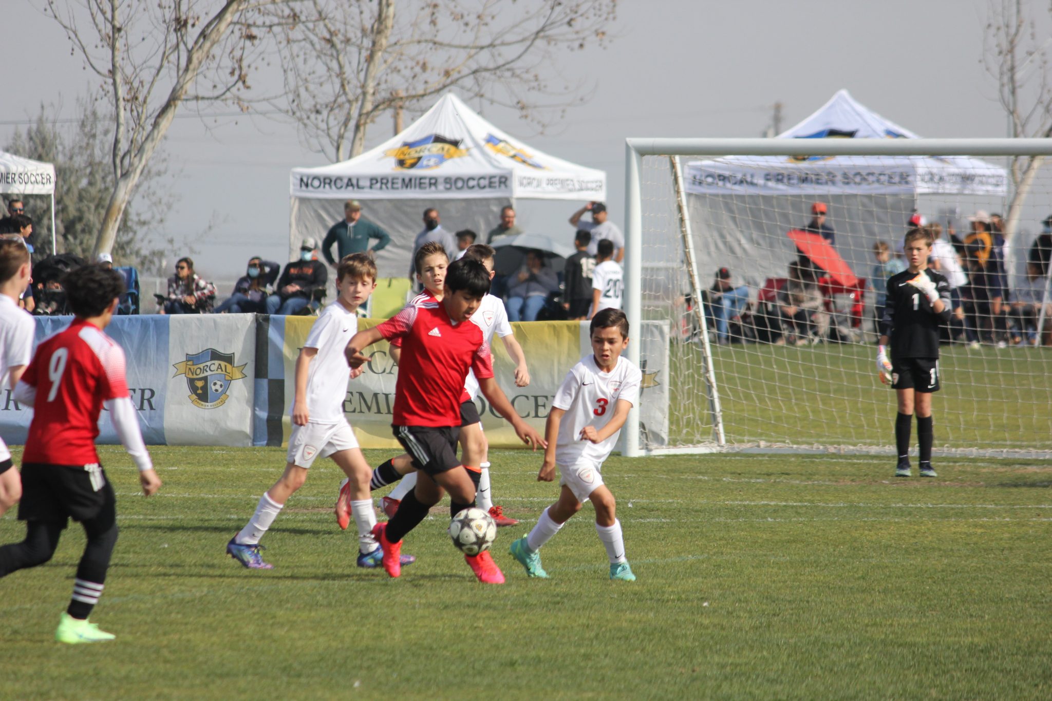 The U11-U13 #NorCalStateCup Returns This Weekend with Gold, Silver, and ...