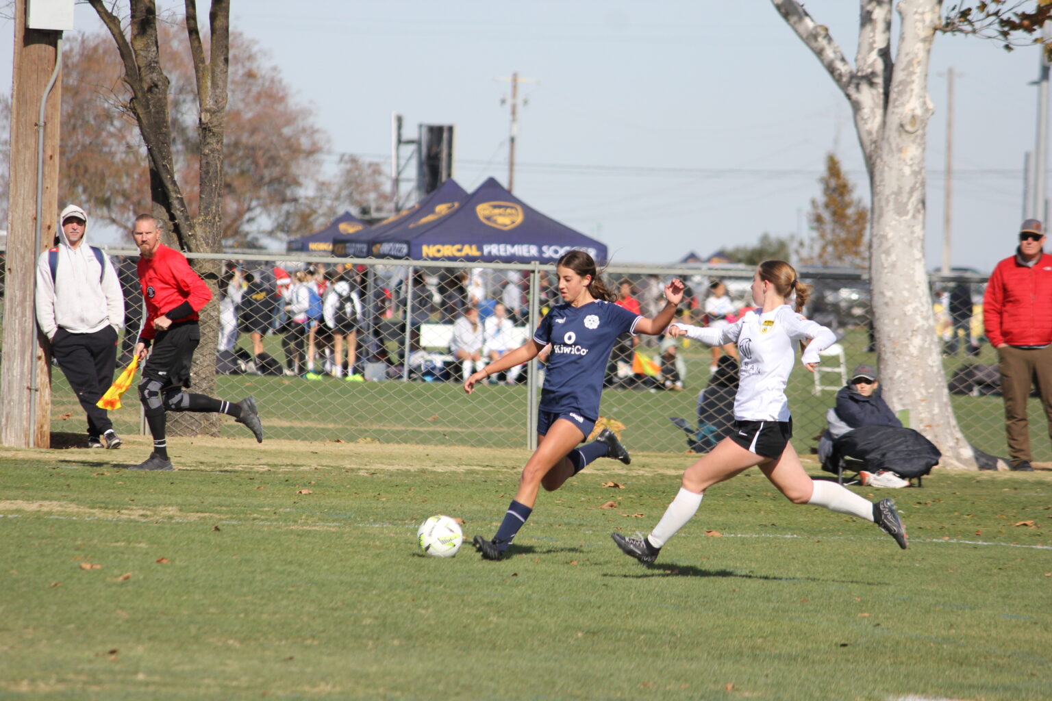 NorCal’s Spring ECNL-RL and NPL Kick Off This Weekend | NorCal Premier
