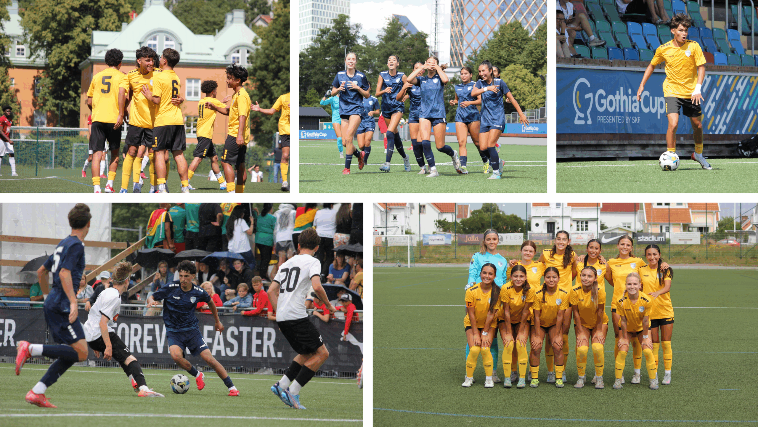 PDP Summer Tour Recap | NorCal Premier